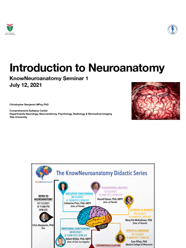 Know Neuro Anatomy l 1 | PDF | Lateralization Of Brain Function | Speech