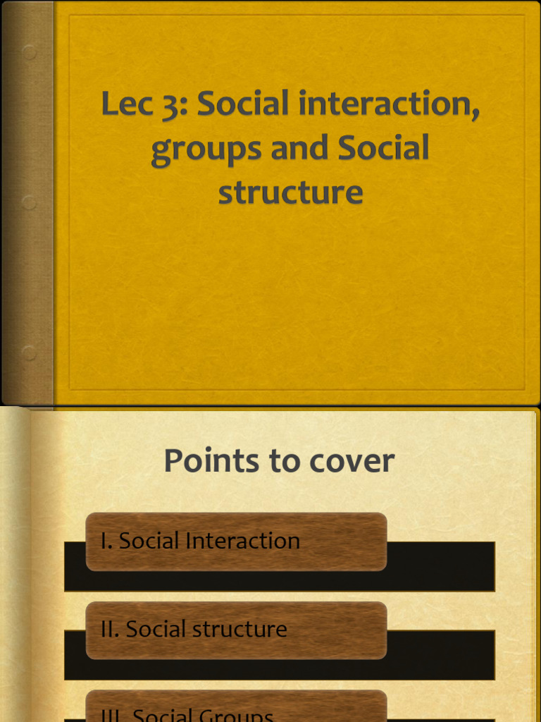 Social Interaction and Structure Insights | PDF | Social Network | Society