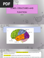 Tachistoscope in Cognitive Research | PDF | Attention | Recall (Memory)