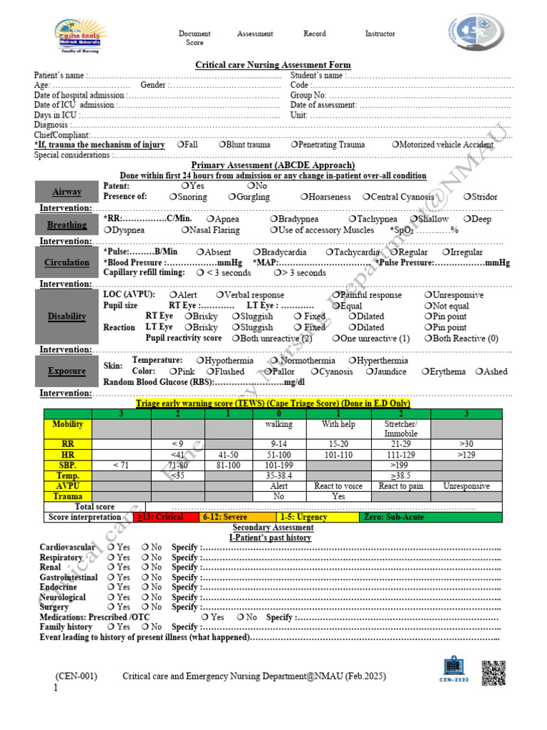 Critical Care Nursing Assessment Form | PDF | Intensive Care Unit ...