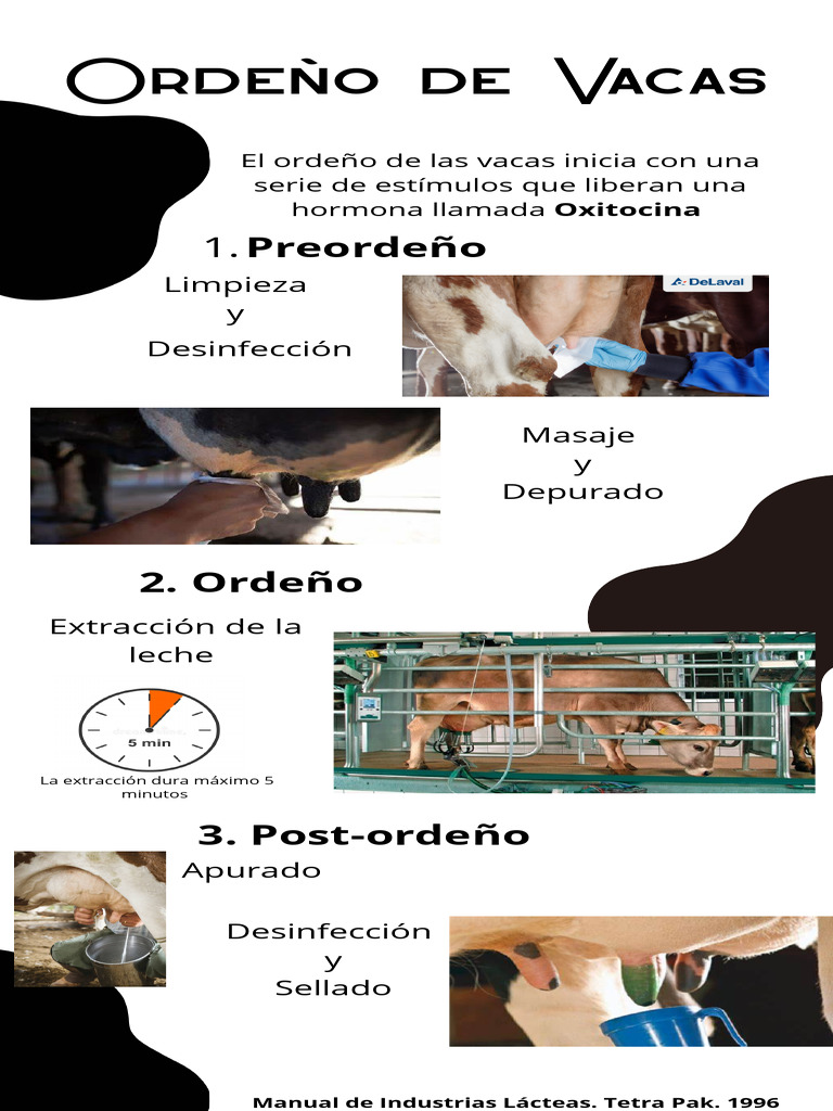 Ordeño Vacas | PDF