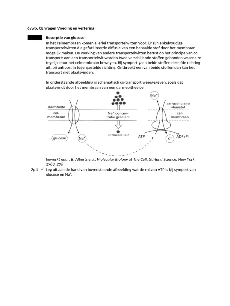 CE Vragen Vwo Voeding en Vertering | PDF