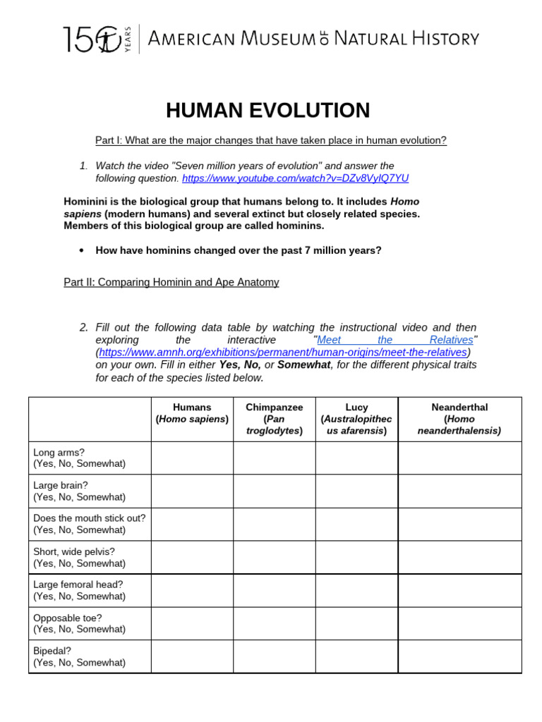 Human Evolution Student Activity Worksheet | PDF