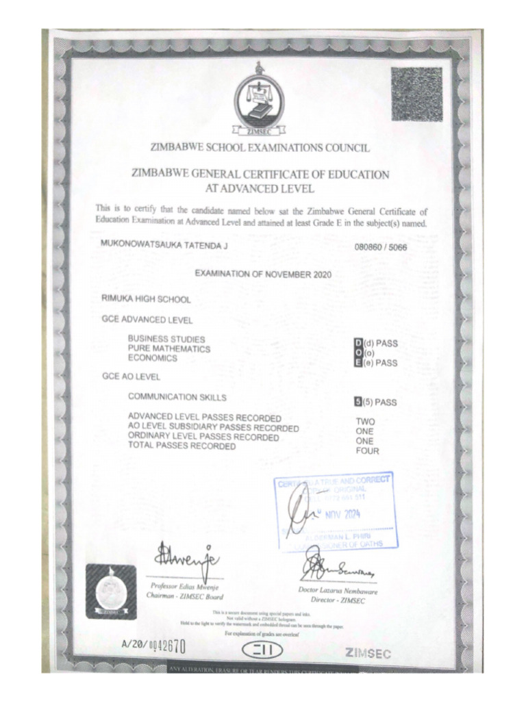 Zimbabwe School Examinations Council | PDF