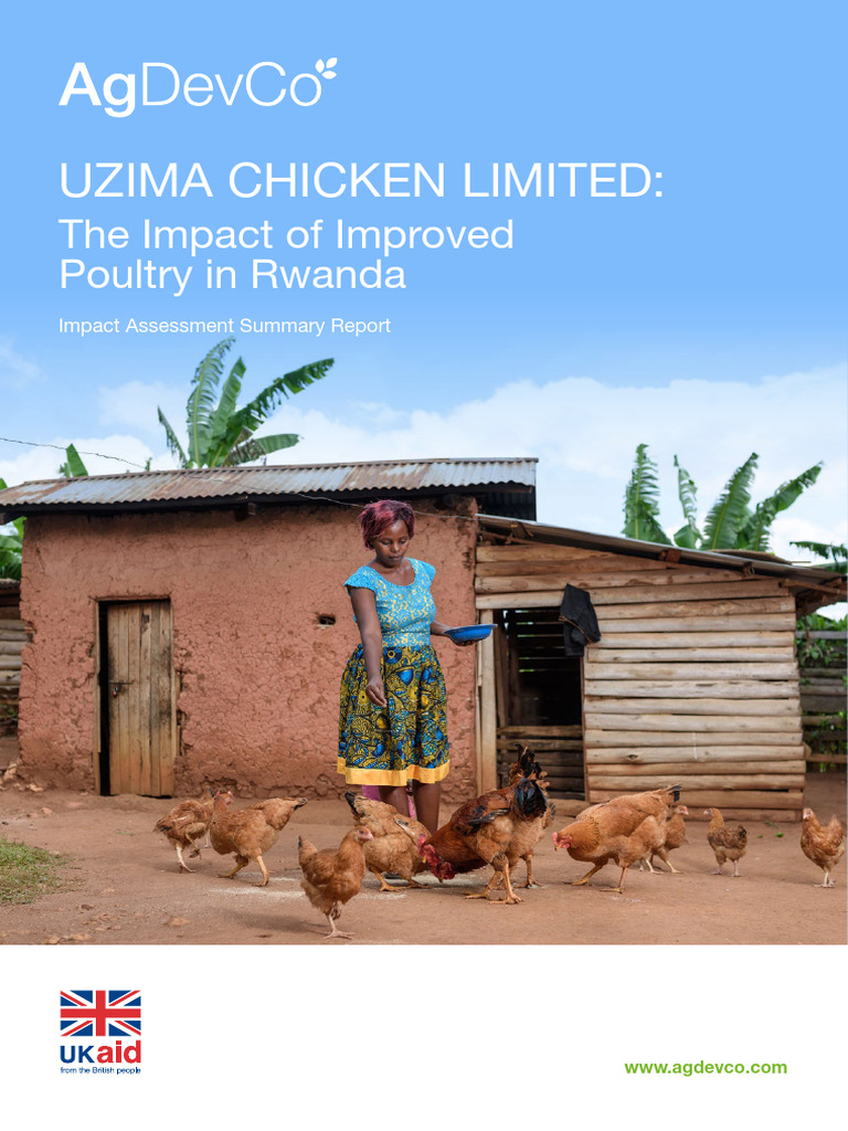 690 Uzima Investment Summary Aw Digital | PDF | Poultry | Chicken