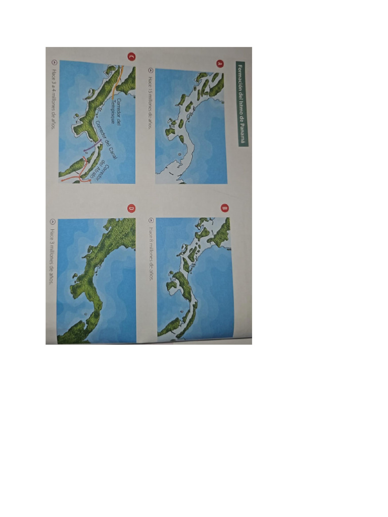 8084029_posición geo (4) | PDF