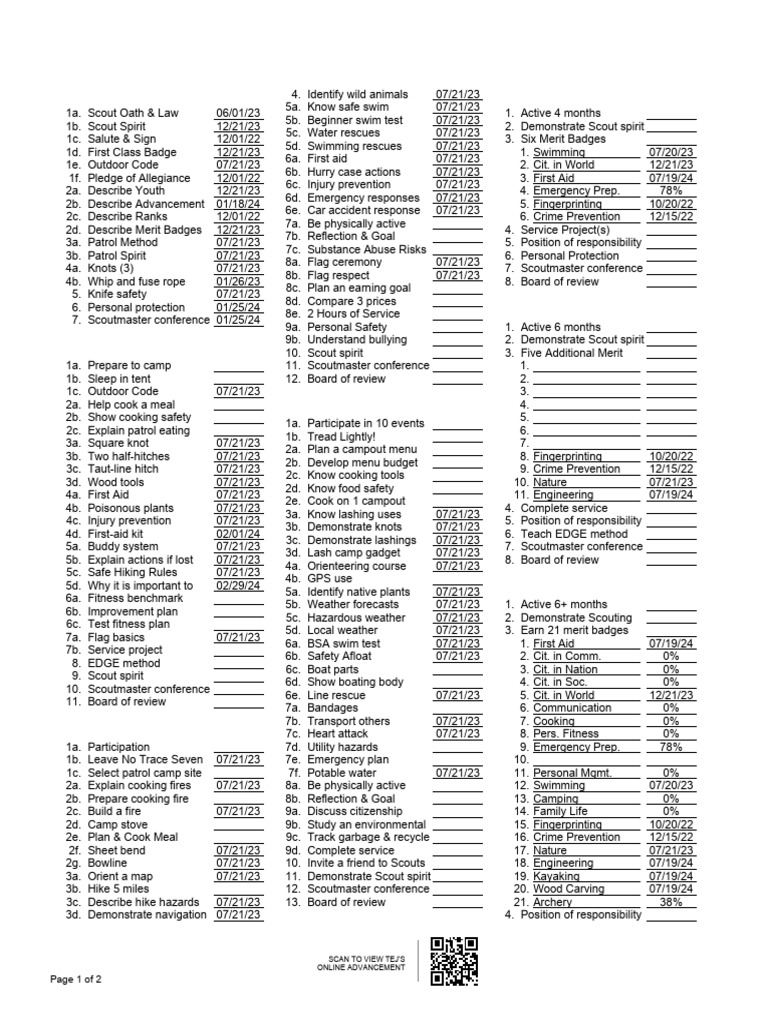 Patel, Tej Advancement Report 2.22.25 | PDF | Scouting | Youth ...