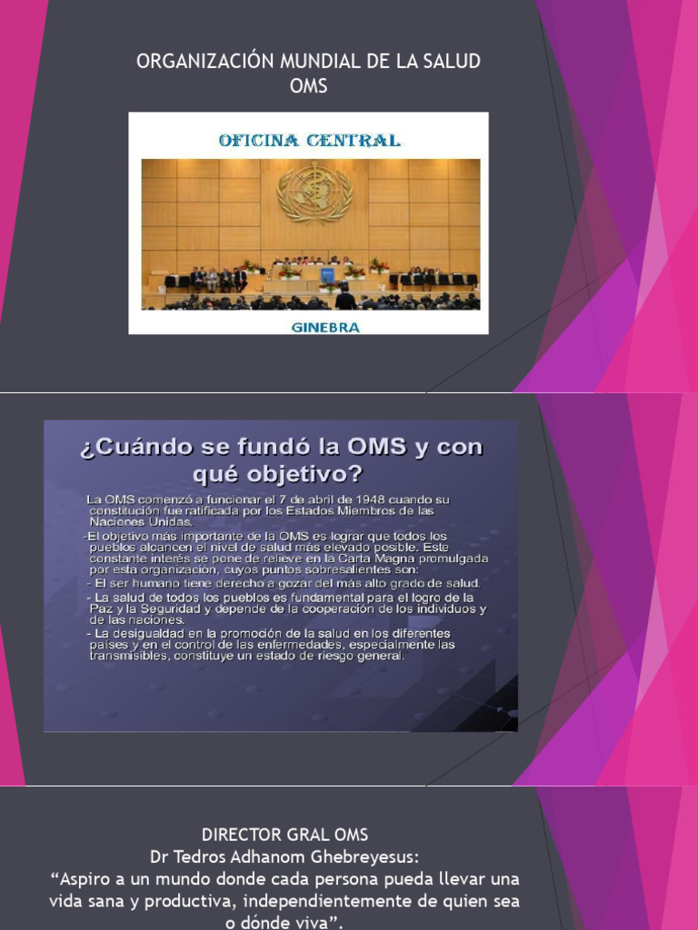1 - 2 - OMS (Unidad1) | PDF
