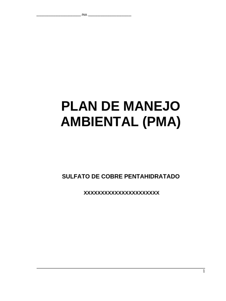 Ejemplo Pma 1 | PDF | Contaminación | Higiene Ocupacional