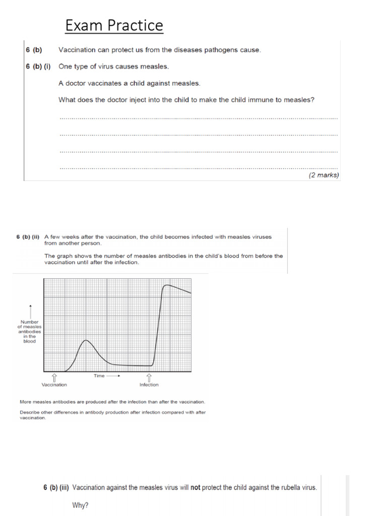 Exam Practice_2_4 | PDF