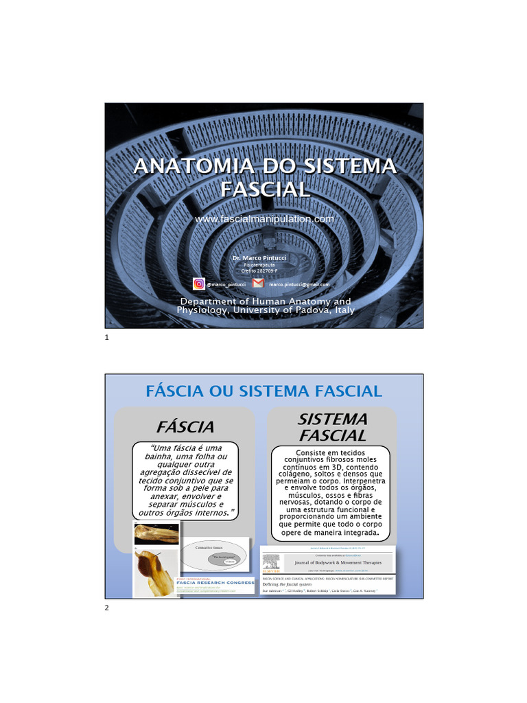 Anatomia Sistema Fascial | PDF | Tecido conjuntivo | Colágeno