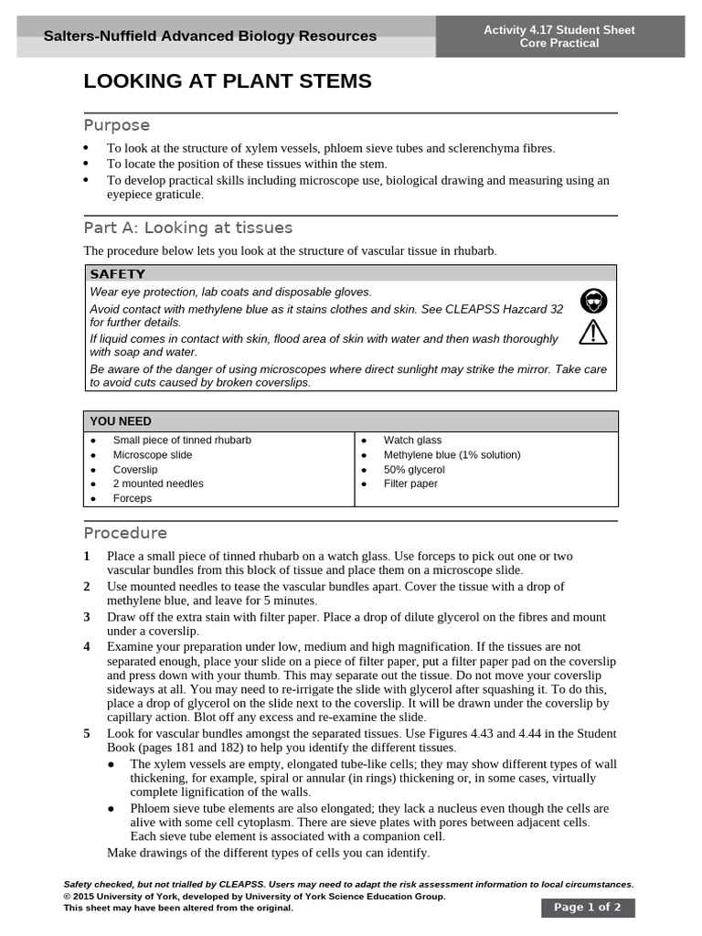 Activity - 4-17 - Student - Looking at Plant Cells | PDF | Tissue ...