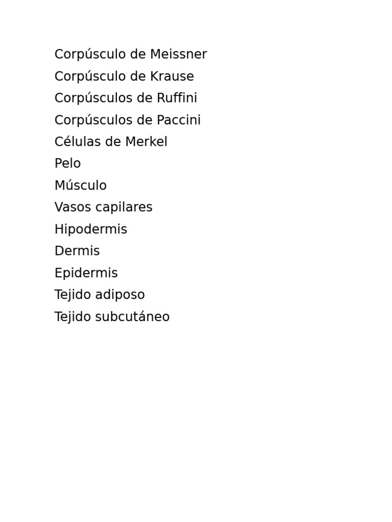 Corpúsculo de Meissner | PDF