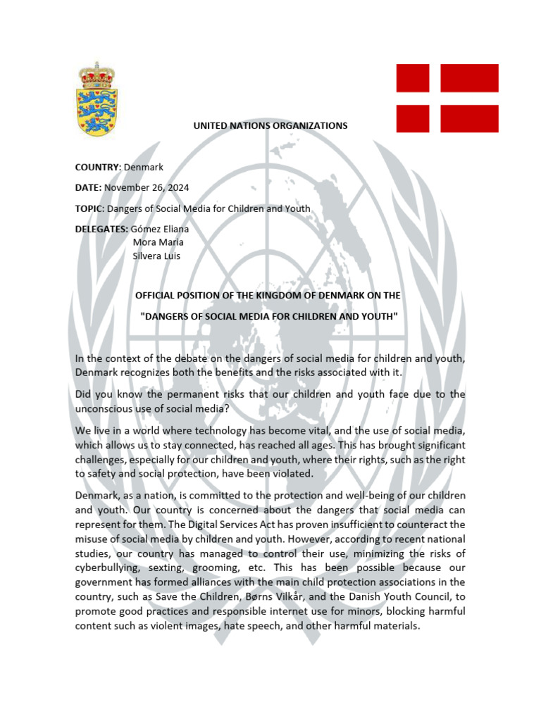 United Nations Organizations | PDF
