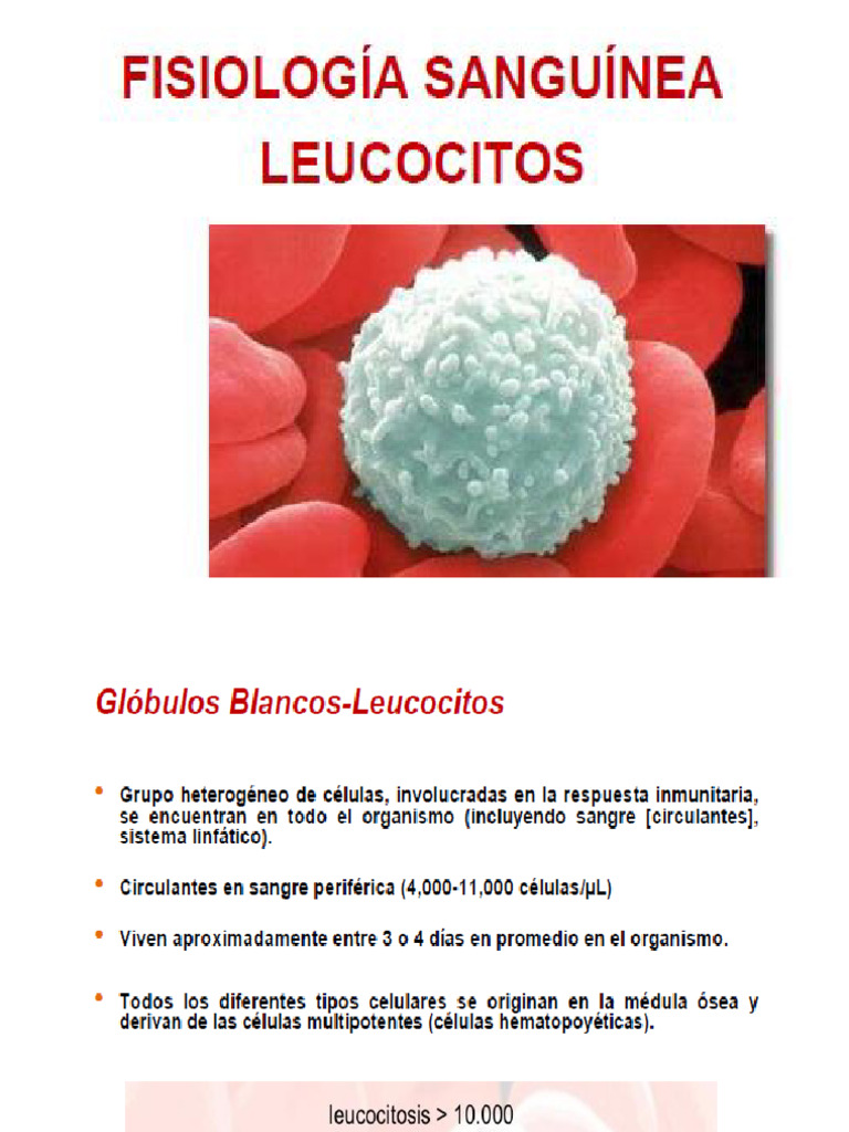 Globulos+Blancos+UK+FISIO+I+ +2020 | PDF | Sistema inmune | Fagocito