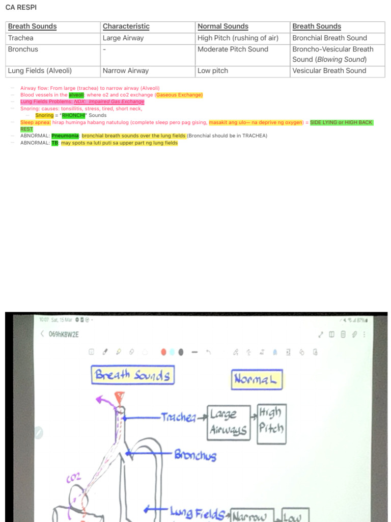 CA-RESPI | PDF | Chronic Obstructive Pulmonary Disease | Lung