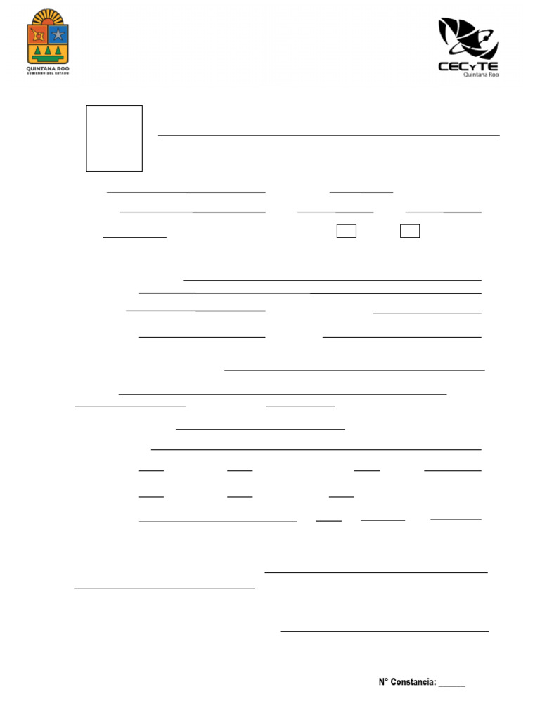 Formatos Serv, Soc | PDF