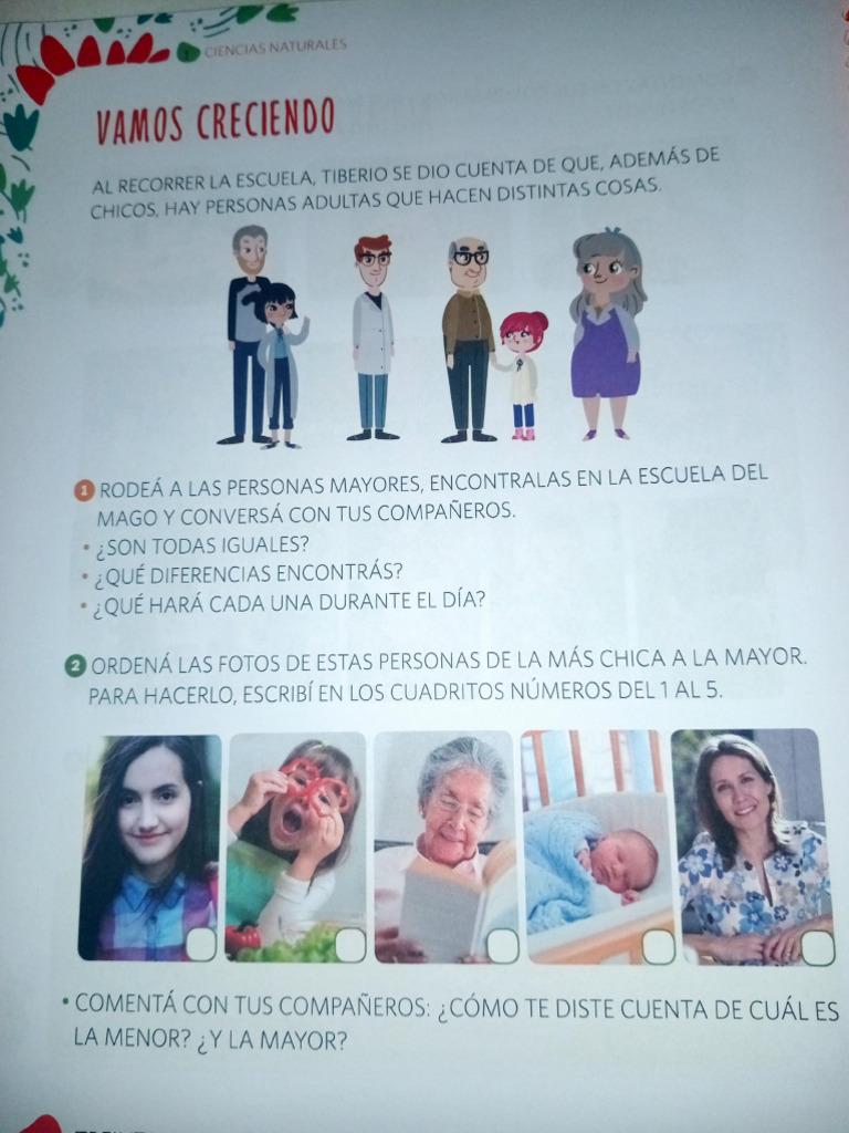 Crecimiento Etapas de La Vida | PDF