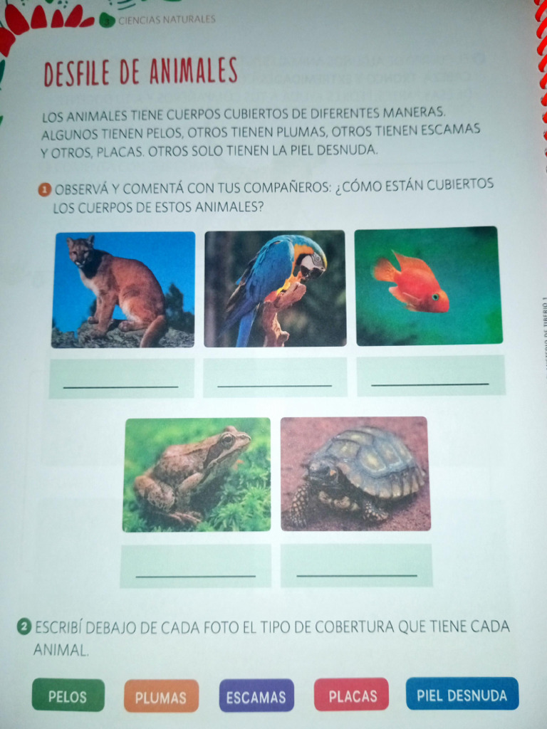 Cobertura de Animales | PDF