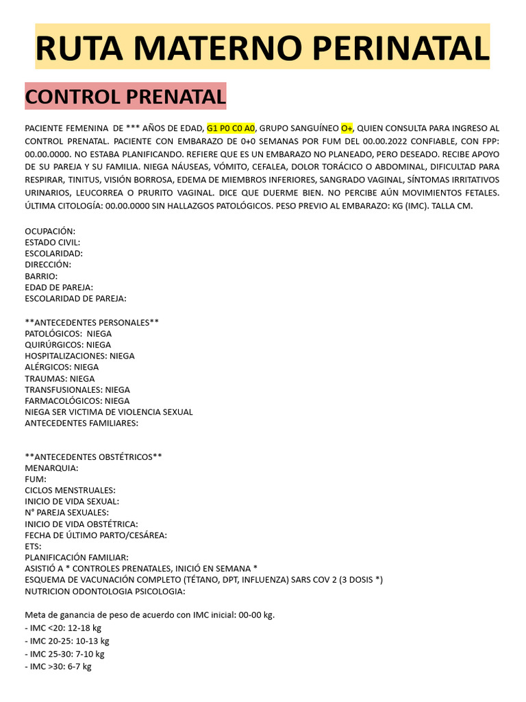 Ruta Materna | PDF | El embarazo | Control de la natalidad