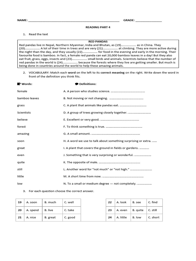 Red Pandas 5 Reading Part 4 | PDF