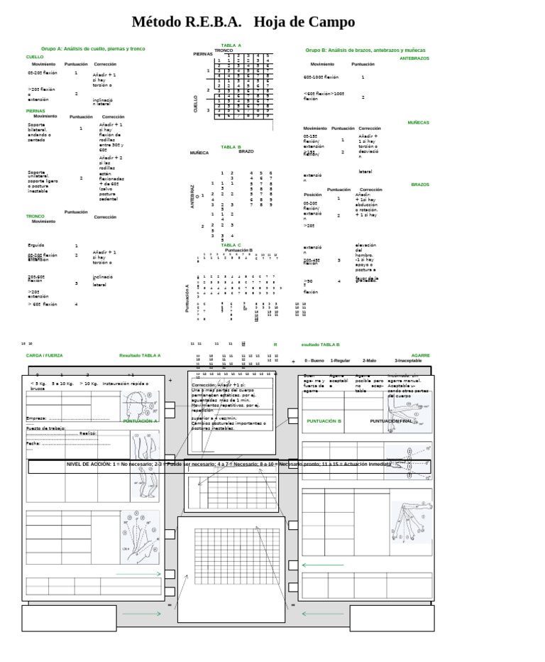 REBA_Hoja_campo | PDF | Sistema musculoesquelético
