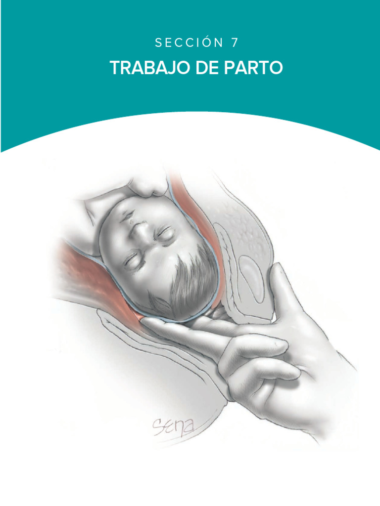 Fisiología del Trabajo de Parto | PDF | Parto | Receptor (Bioquímica)