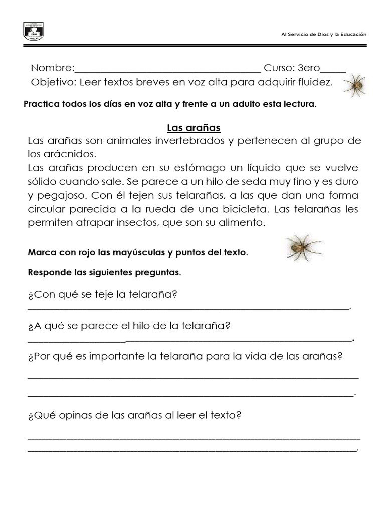 Respuestas sobre las arañas para 4to grado | PDF