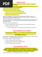 Ubicación del pulso cubital | PDF