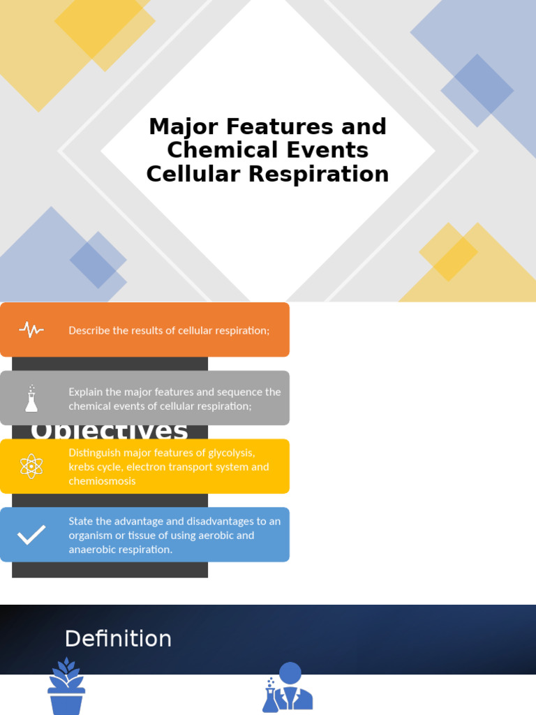 Cellular Respiration: Key Processes Explained | PDF | Cellular ...