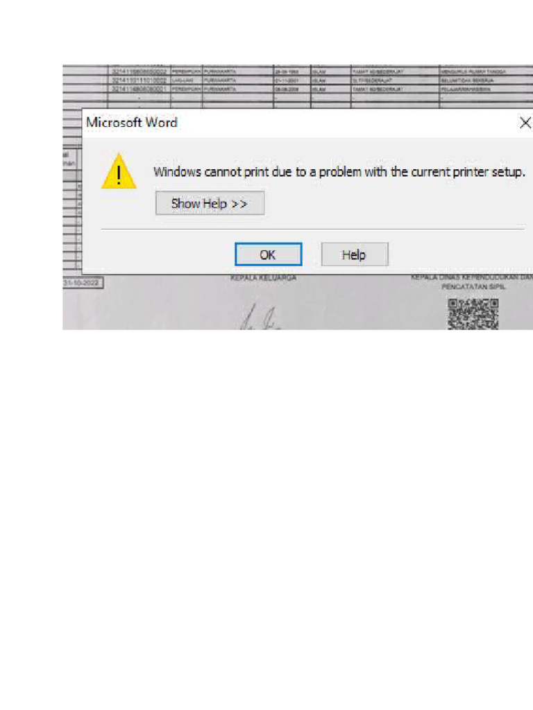 Printer Error | PDF