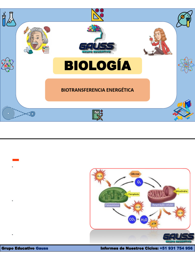 Semana 2 .22 Biologia | PDF | Respiración celular | Trifosfato de adenosina