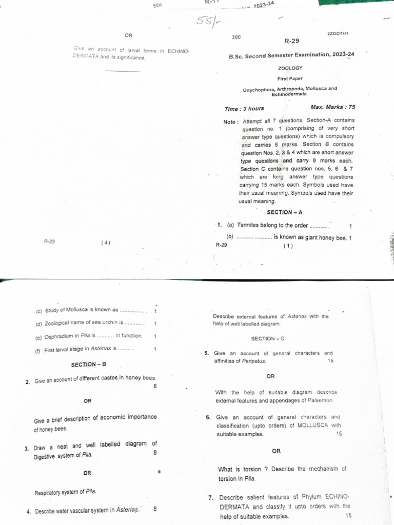 Zoology BSC Sem-2 PYQ | PDF