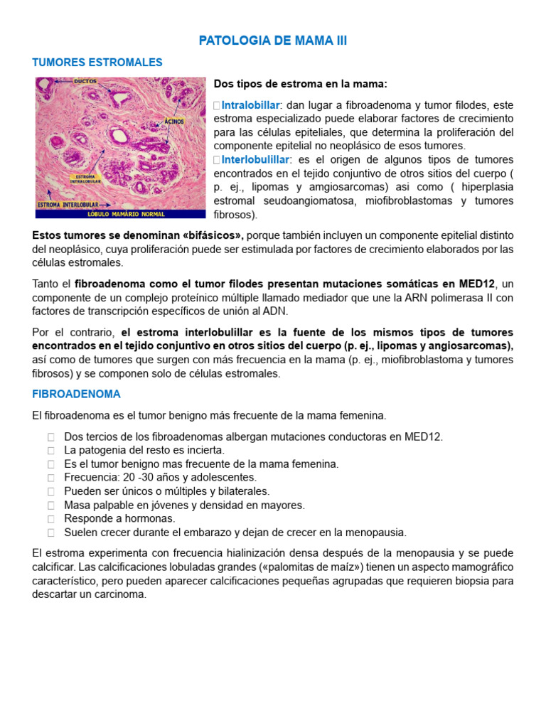 Tumores Estromales de Mama: Fibroadenoma y Filodes | PDF | Cáncer de ...