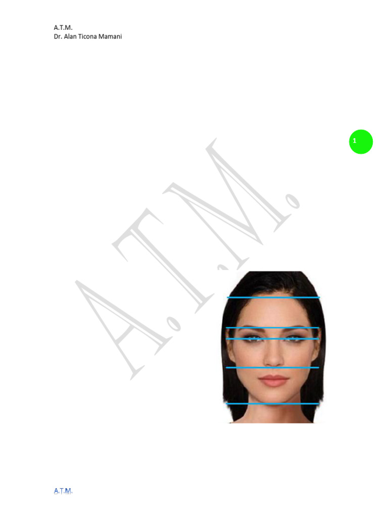 L-Neas y Planos de Referencia 25 | PDF | Cráneo | Odontología