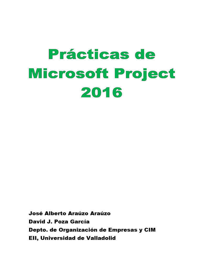 MSProject 3. Solución Autoevaluación | PDF