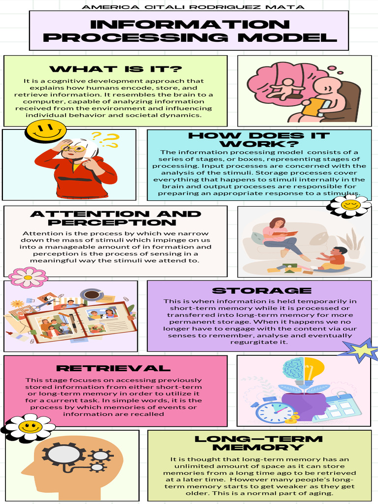 INFOGRAPHIC INFORMATION PROCESSING MODEL (1) | PDF | Information | Memory