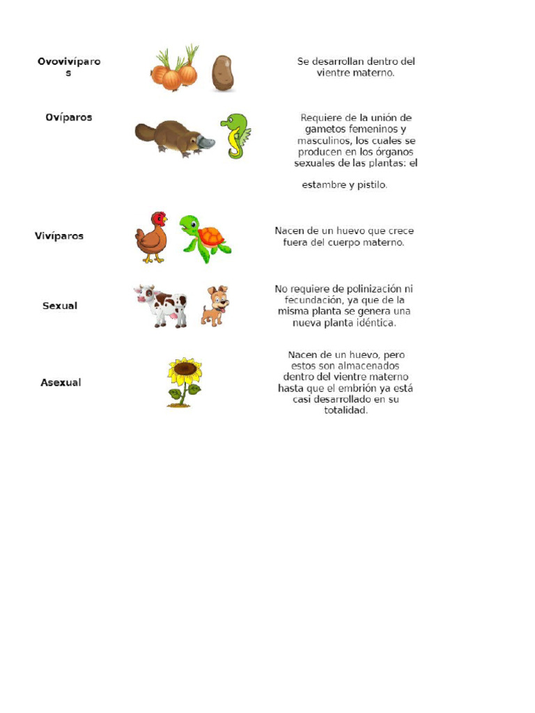 Anexos Proyecto Plantas y Animales | PDF