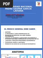 GHOST-CAP en Cuidados Neurocríticos | PDF | Hipertensión | Presión ...