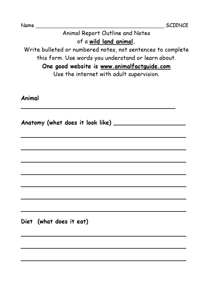 Animal Report Outline Template | PDF