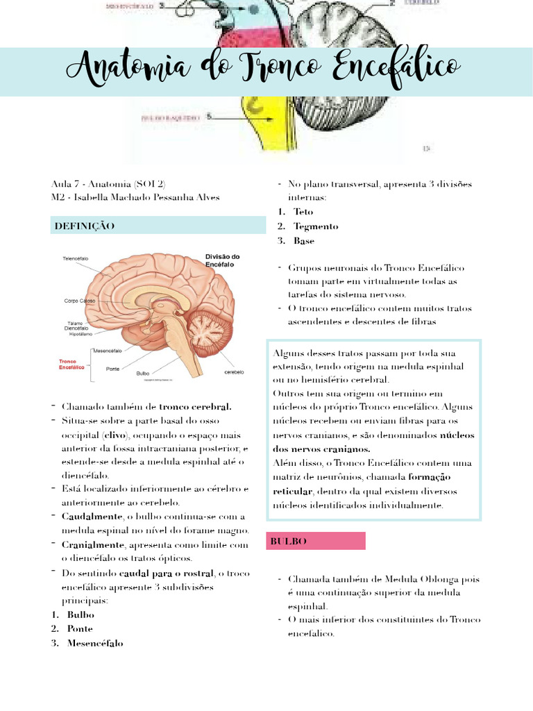 Anato Do Tronco Encefã¡lico | PDF | Cerebelo | Anatomia humana