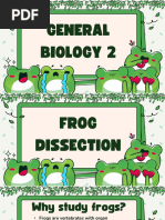 Lab Report - Frog Dissection | PDF | Frog | Anatomy