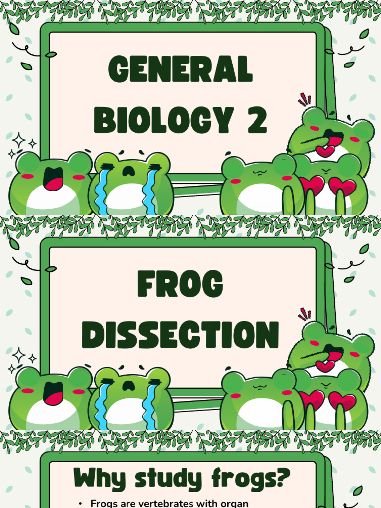 General Biology 2 Frog Dissection | PDF | Heart | Gastrointestinal Tract