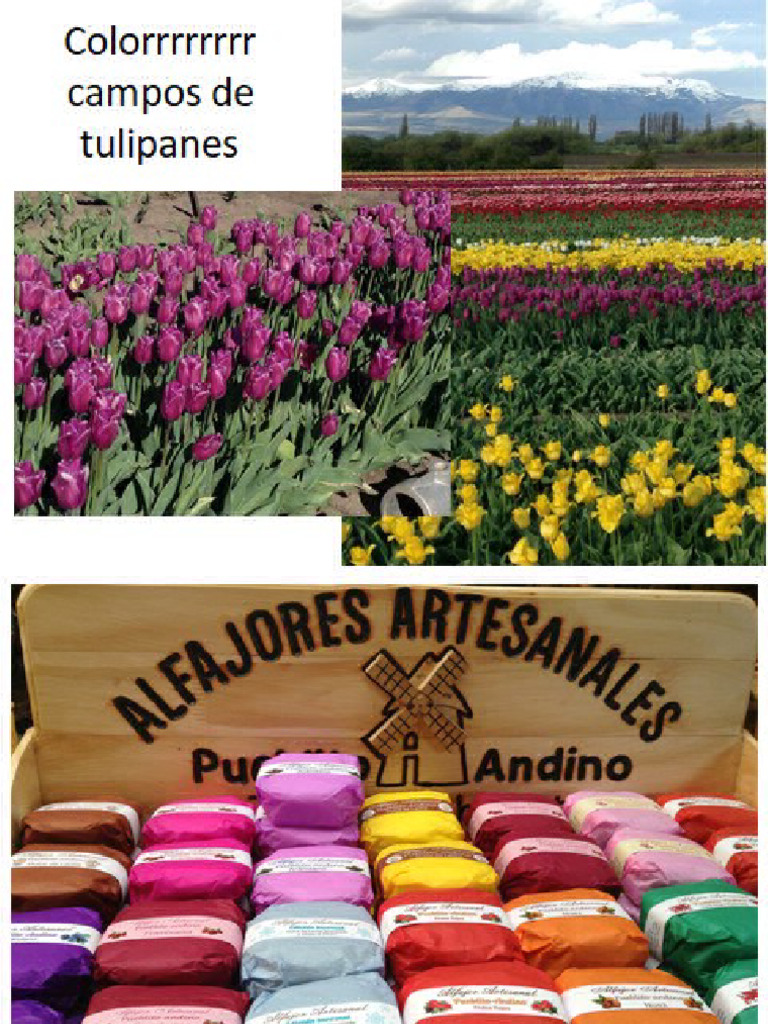 1 Color Tradicion Disciplinar y Cultural | PDF | Pinturas | Póster