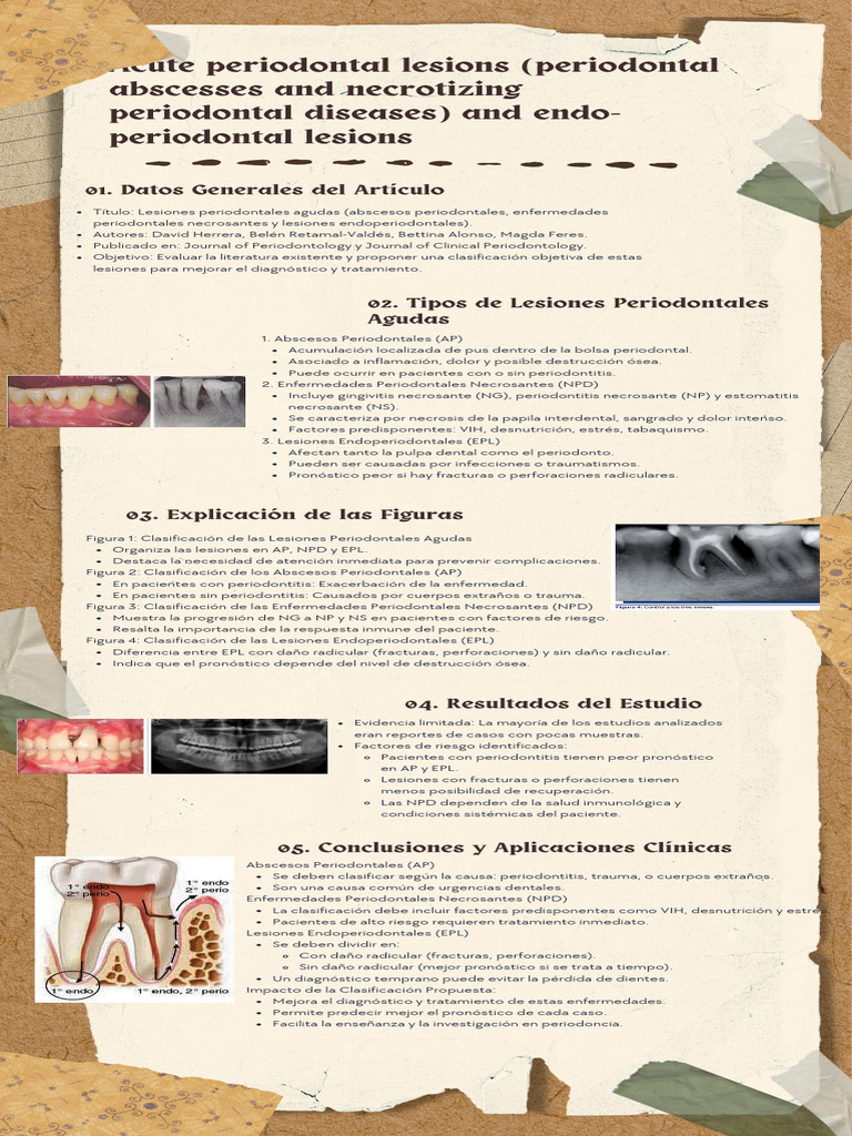 Infografia Lesiones | PDF | Especialidades Medicas | Enfermedades y trastornos