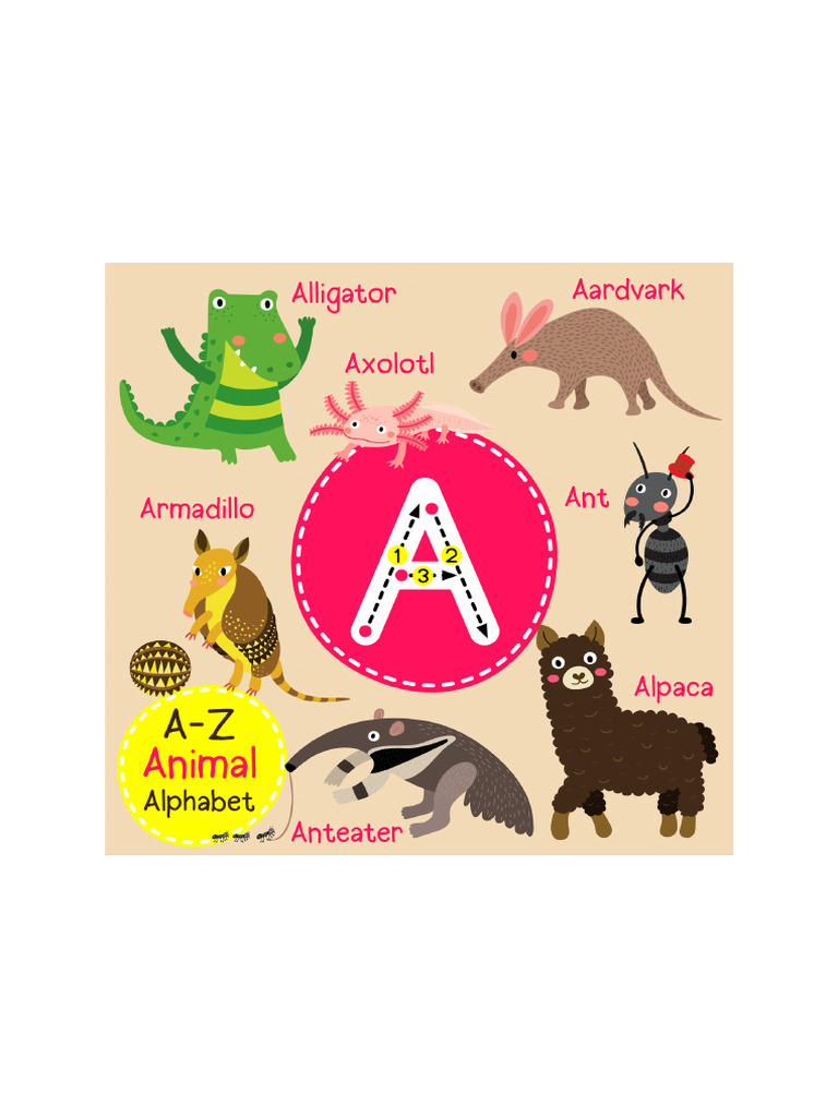 Montessori Animal | PDF