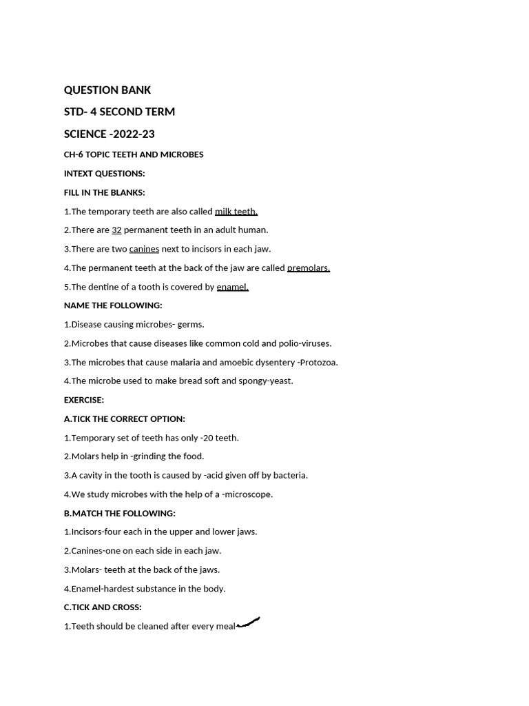 QB STD4 SC 2ND Term 2022 23 | PDF | Human Tooth | Tooth