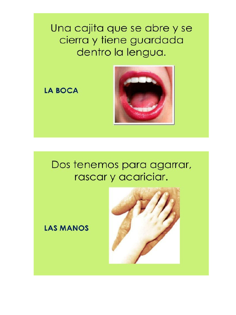 Adivinanzas Del Cuerpo Humano Pdf