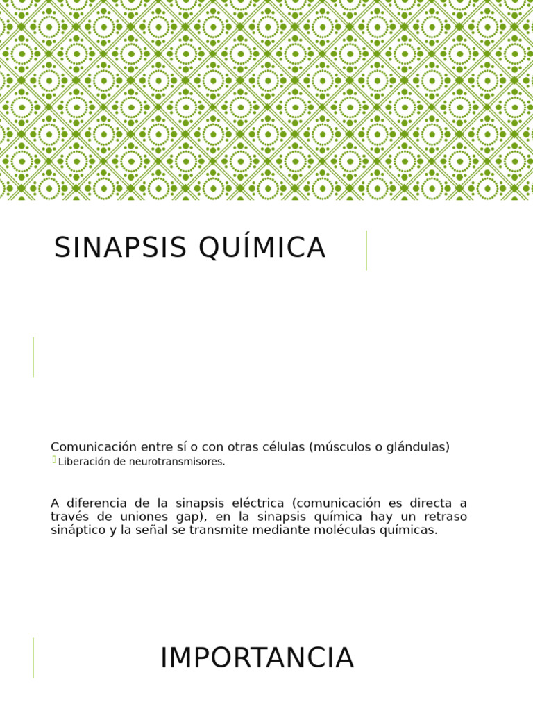 Sinapsis Química | PDF | Sinapsis | Sinapsis química