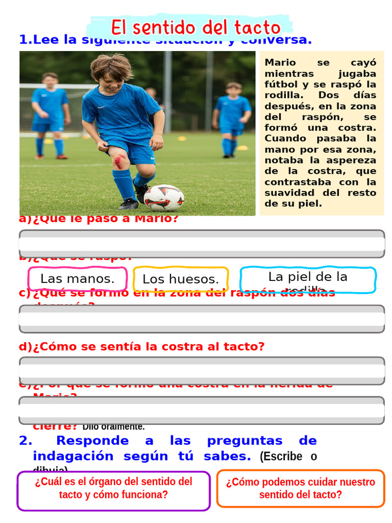 07-05 Ficha El Sentido Del Tacto Maestra Janet | PDF